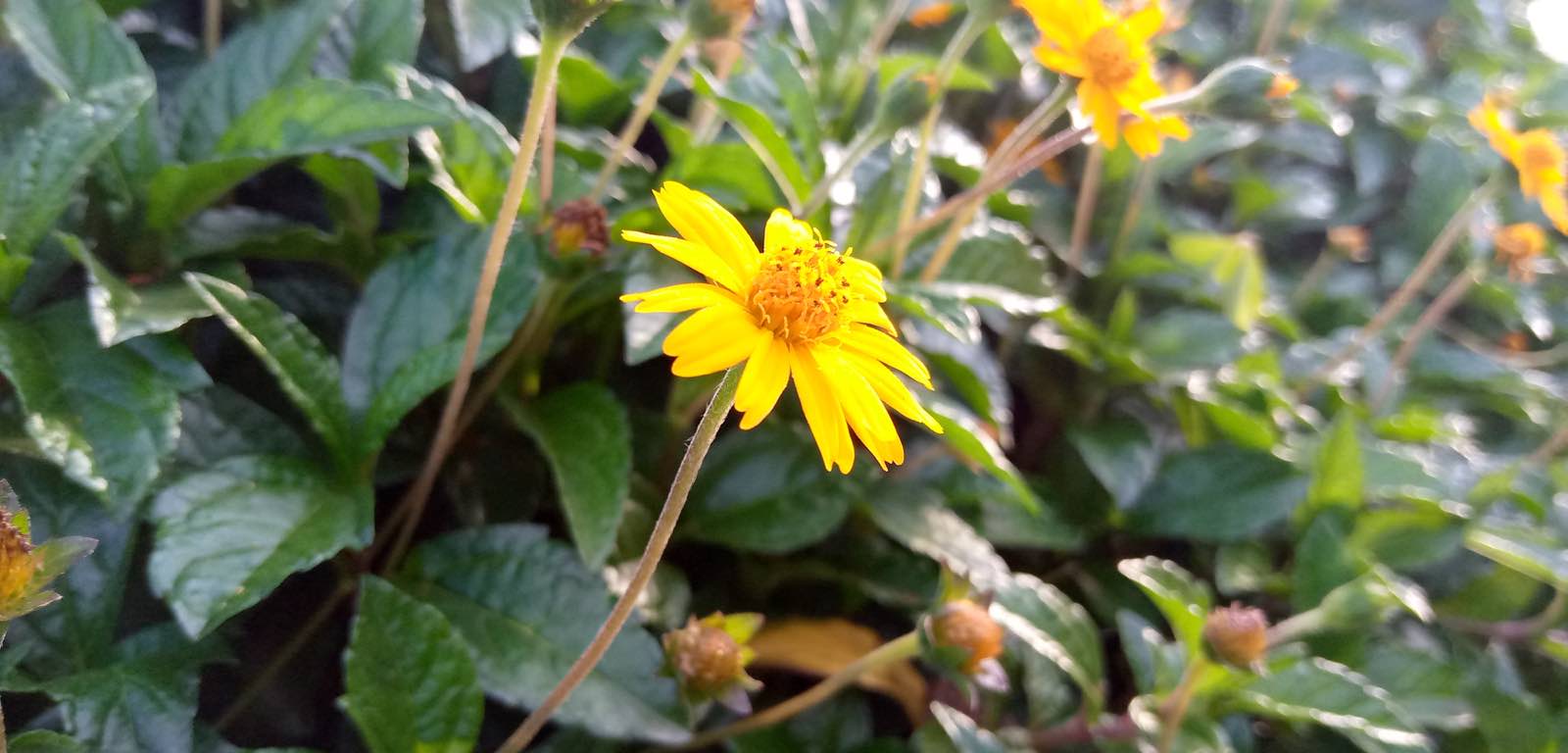 TECNO SPARK 3 Review: An amazingly affordable high-grade smartphone